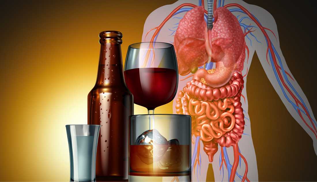 Why Alcohol Awareness Is Essential for Early Prevention and Recovery ...