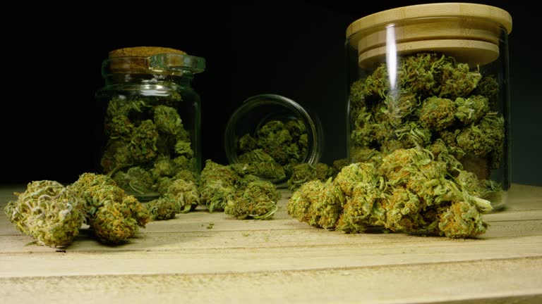 Bulk Weed in British Columbia: Your Complete Purchasing Guide ...